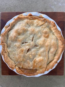 Elizabeth Ries | Home to Homestead | Page 2